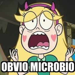 Meme Personalizado - Obvio microbio - 30221116