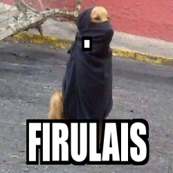 Meme Personalizado - . firulais - 30226571
