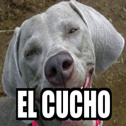 Meme Personalizado - El cucho - 30230129