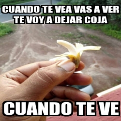 Meme Personalizado - Cuando te vea vas a ver te voy a dejar coja Cuando ...