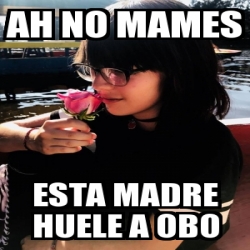 Meme Personalizado - Ah no mames Esta madre huele a obo - 30275249