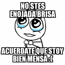 Meme Por favor - No stes enojada brisa Acuerdate que stoy bien mensa ...