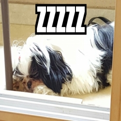 Meme Personalizado - Zzzzz - 30334500