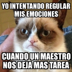 Meme Grumpy Cat - YO INTENTANDO REGULAR MIS EMOCIONES CUANDO UN MAESTRO ...