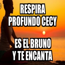 Meme Personalizado - Respira profundo Cecy Es el Bruno y te encanta ...