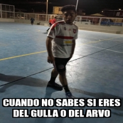 Meme Personalizado - Cuando no sabes si eres del gulla o del arvo ...