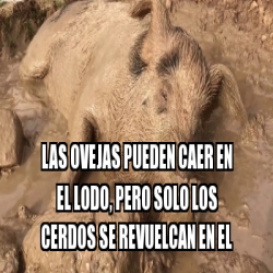 Meme Personalizado - las ovejas pueden caer en el lodo, pero solo los ...
