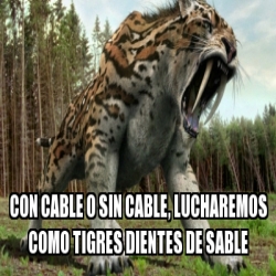 Meme Personalizado - Con cable o sin cable, lucharemos como tigres ...