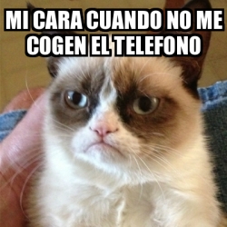 Meme Grumpy Cat - Mi cara cuando no me cogen el telefono - 30415240