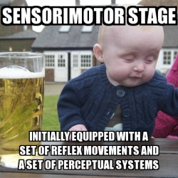 Meme Drunk Baby - sensorimotor stage Initially equipped with a set of ...