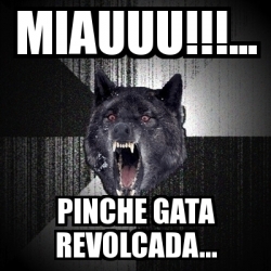 Meme Insanity Wolf - MIAUUU!!!... PINCHE GATA REVOLCADA... - 30456247