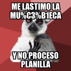 Meme Chill Out Lemur - Me lastimo la mu%C3%B1eca Y no proceso planilla ...