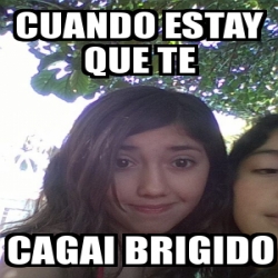 Meme Personalizado - cuando estay que te cagai brigido - 30484322