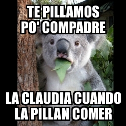 Meme Koala - Te pillamos po' compadre La claudia cuando la pillan comer ...