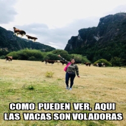 Meme Personalizado - como pueden ver, aqui las vacas son voladoras ...