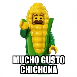 Meme Personalizado - Mucho gusto Chichona - 30499087