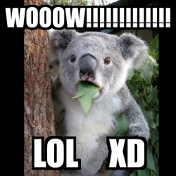 Meme Koala - wooow!!!!!!!!!!!!! lol xd - 30055785