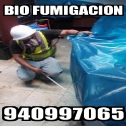 Meme Personalizado - bio fumigacion 940997065 - 30504190