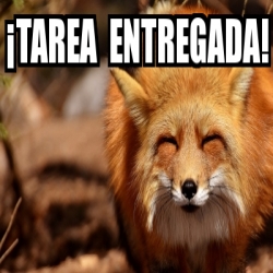 Meme Personalizado - Â¡tarea entregada! - 30512960