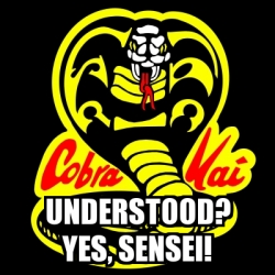 Meme Personalizado - understood? Yes, sensei! - 30535147