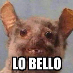 Meme Personalizado - Lo bello - 30557243