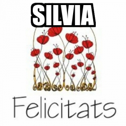 Meme Personalizado - Silvia - 30574885