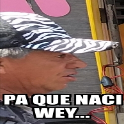 Meme Personalizado - Pa que naci wey... - 30578635