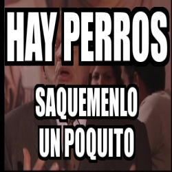 Meme Personalizado - HAY PERROS SAQUEMENLO UN POQUITO - 30062637