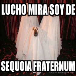 Meme Personalizado - Lucho mira soy de Sequoia fraternum - 30669111