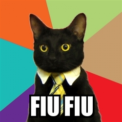 Meme Business Cat - Fiu fiu - 30671905