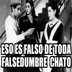 Meme Personalizado - Eso es falso de toda falsedumbre chato - 30688017