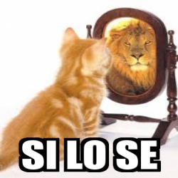Meme Personalizado - Si lo se - 30688024