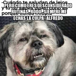 Meme Personalizado - pero como eres desconsiderado , rutinas , rodo ...
