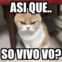Meme Personalizado - Asi que.. So vivo vo? - 30072633
