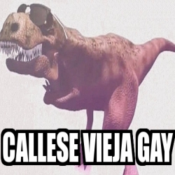 Meme Personalizado - callese vieja gay - 30073624