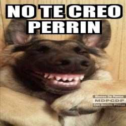Meme Personalizado - No te creo perrin - 30703415