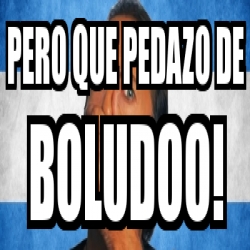 Meme Personalizado - pero que pedazo de boludoo! - 30724073