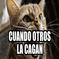 Meme Personalizado - Cuando Otros la cagan - 30759572