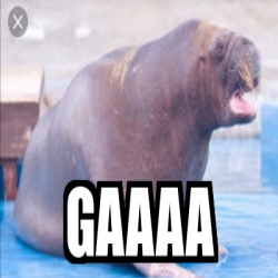 Meme Personalizado - Gaaaa - 30797114