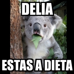 Meme Koala - Delia Estas a dieta - 30797189