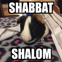 Meme Personalizado - SHABBAT SHALOM - 30085797