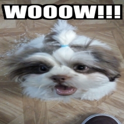 Meme Personalizado - Wooow!!! - 30814171