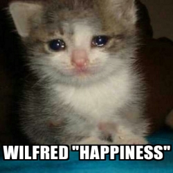Meme Personalizado - Wilfred "Happiness" - 30820979