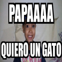 Meme Personalizado - PAPAAAA QUIERO UN GATO - 30822015