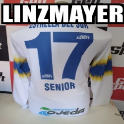Meme Personalizado - Linzmayer - 30828615