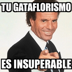 Meme Julio Iglesias - Tu gataflorismo Es insuperable - 30833561