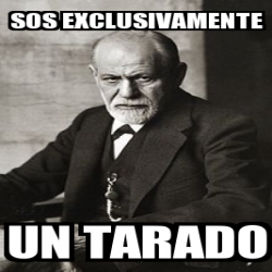 Meme Personalizado - sos exclusivamente un tarado - 30836689