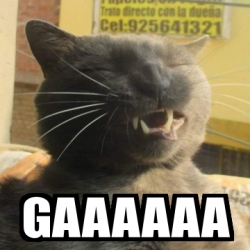 Meme Personalizado - GAAAAAA - 30838113