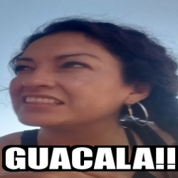Meme Personalizado - Guacala!! - 30858457