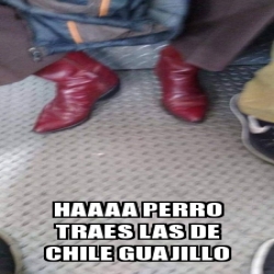Meme Personalizado - Haaaa perro traes las de chile guajillo - 30865292